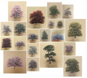 Jack Frame – Artist